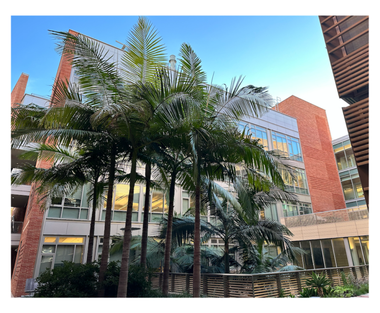 UCLA Computer Science Summer Institute – precollege computer science ...